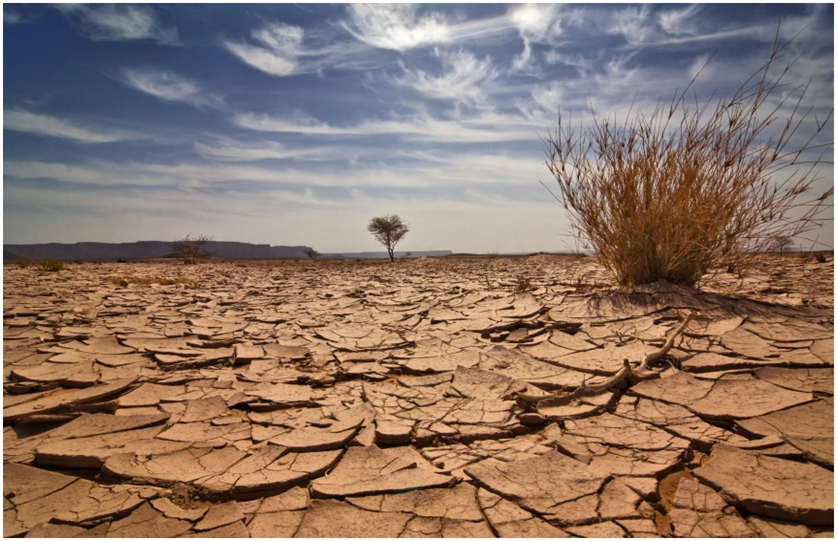 Sustainability, ESG & Climate Change - Mamadi & Company | SA